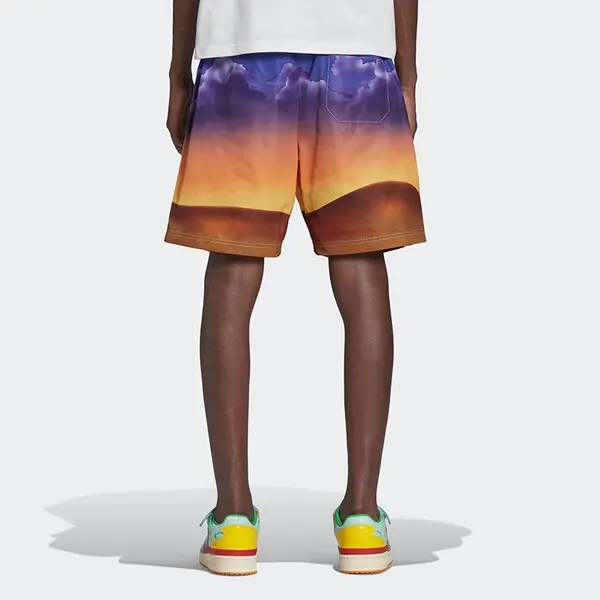 Adidas Originals X Kerwin Frost Graphic Print Sports Shorts
