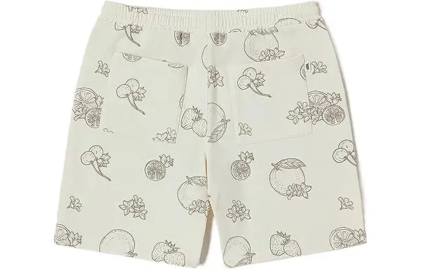 VANS Graphic Knit Shorts