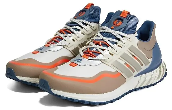 Adidas Ultra Boost All Terrain Sneakers - Brown/blue