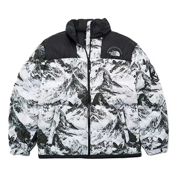 The North Face Fw22 Down Jacket