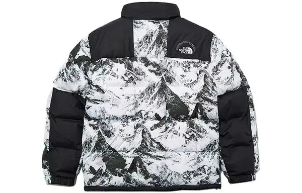 The North Face Fw22 Down Jacket