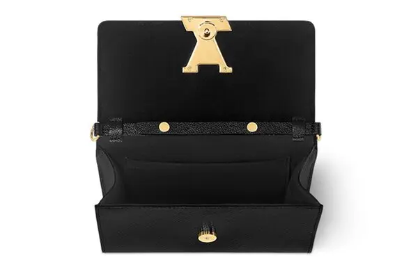LOUIS VUITTON Pochette Louise Handbag