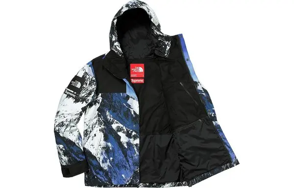 Supreme Fw17 X The North Face Mountain Parka