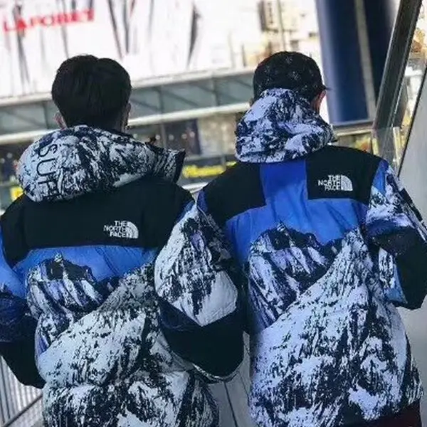 Supreme Fw17 X The North Face Mountain Parka