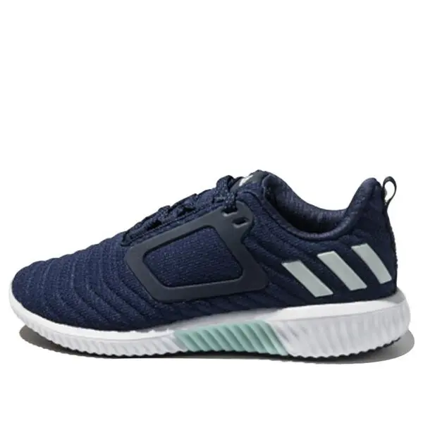 Adidas Climawarm All Terrain Sneakers - Blue