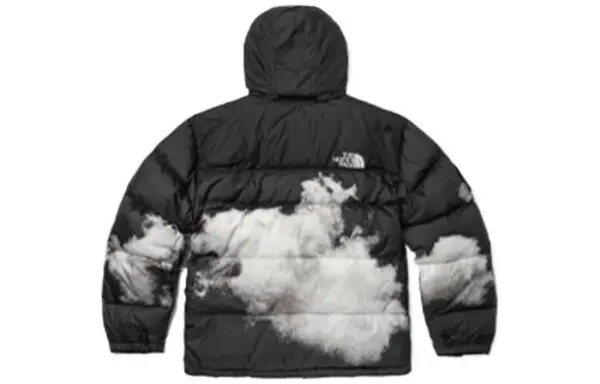 The North Face Printed 30th Anniversary Jacket