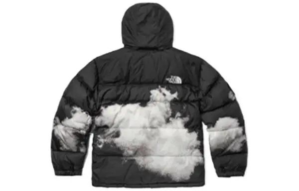 The North Face Printed 30th Anniversary Jacket