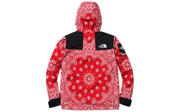 Supreme X The North Face Bandana Mountain Jacket