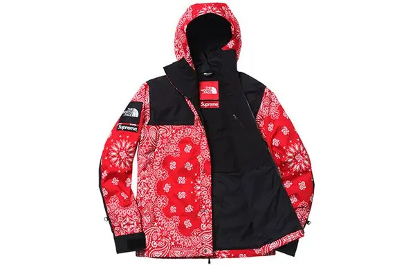 Supreme X The North Face Bandana Mountain Jacket