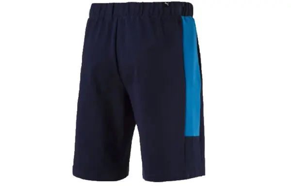 PUMA Summer Rebel Lightweight Shorts