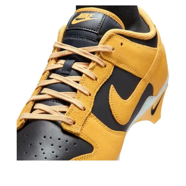 Nike Dunk Low Alpha Menace Iowa Athletic Football Cleats