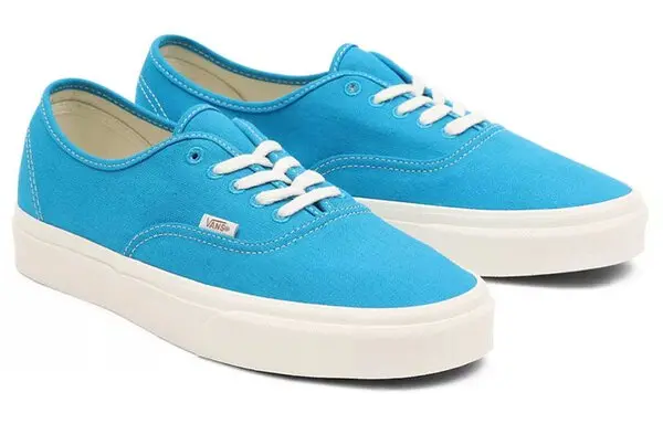 VANS Eco Theory Authentic Sneakers