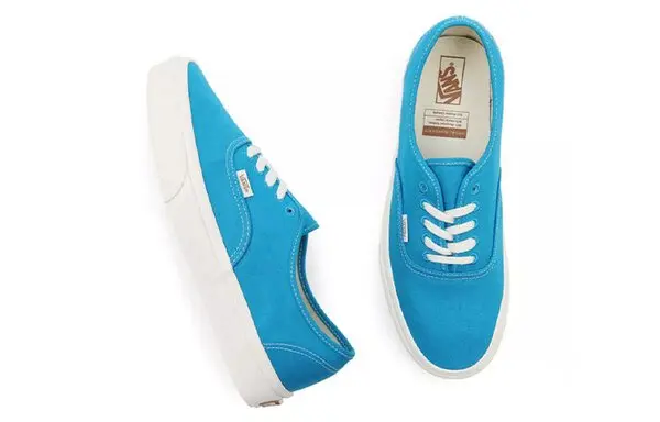 VANS Eco Theory Authentic Sneakers
