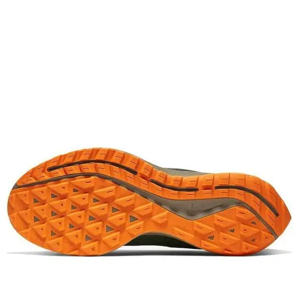 Nike Zoom Pegasus 36 Trail Gore-tex - Blue