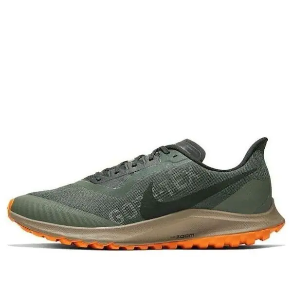 Nike Zoom Pegasus 36 Trail Gore-tex - Blue