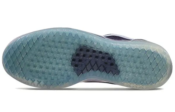 VANS Ave Pro "blanc De Blanc" Skate Shoes