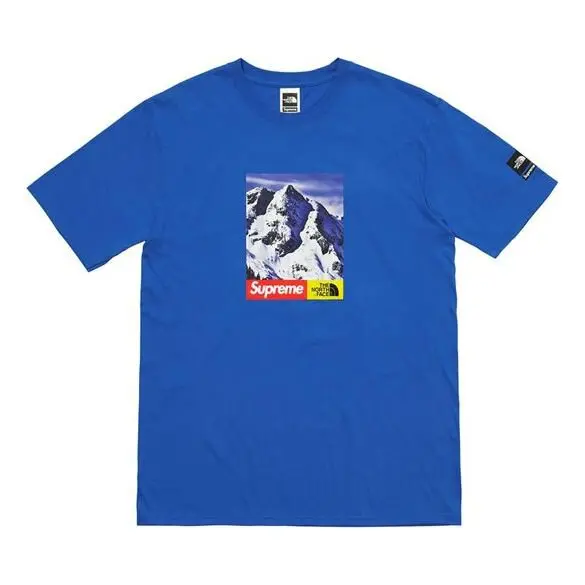 Supreme Fw17 The North Face Mountain Royal Tee - Blue