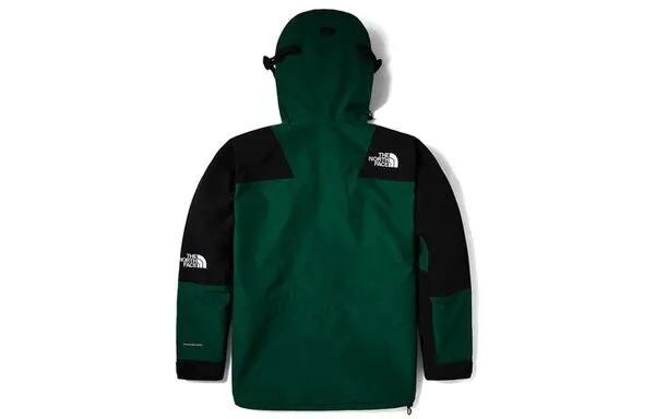 The North Face Retro Mountain Light Futurelight Jacket - Green