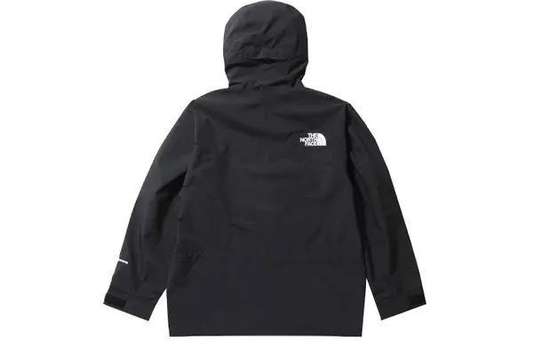 The North Face Mountain Light Jacket