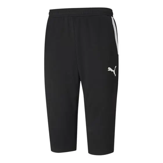 PUMA Team Liga Performance Pants