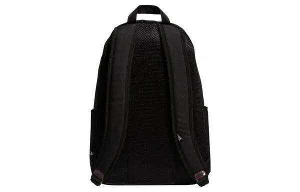 Adidas 2-in-1 Backpack