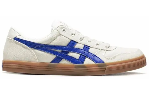 Asics Casual Skate Shoes