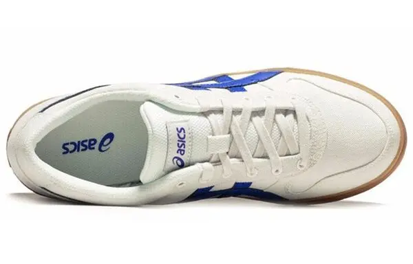 Asics Casual Skate Shoes