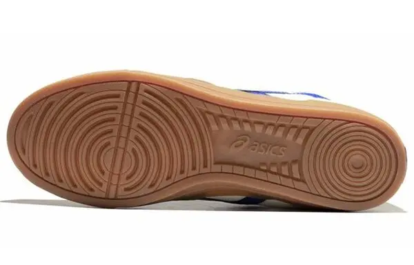 Asics Casual Skate Shoes