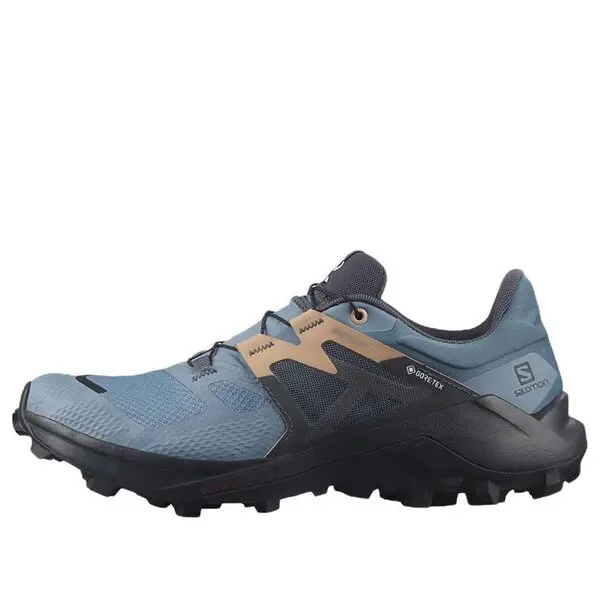 SALOMON Wildcross 2 Gore-tex Trail Running Shoes