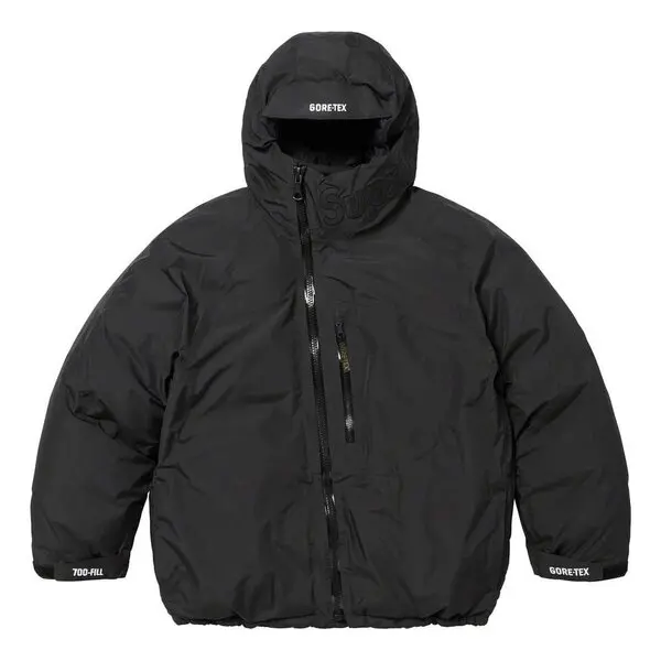 Supreme Gore-tex 700-fill Down Parka