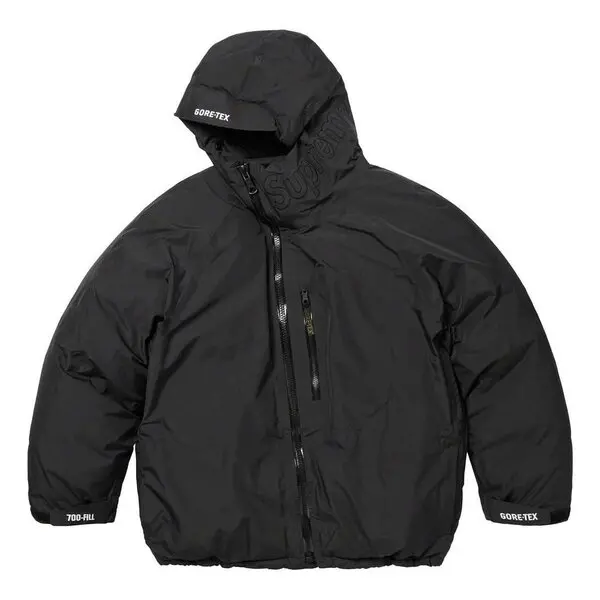 Supreme Gore-tex 700-fill Down Parka