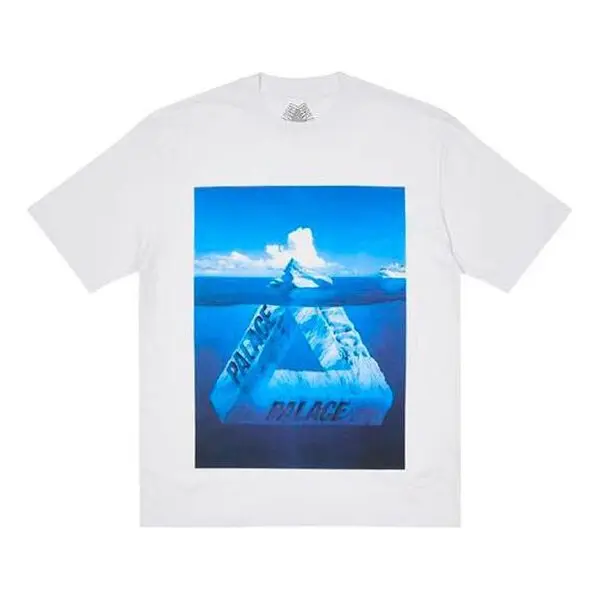 PALACE Berg-ferg T-shirt - Grey