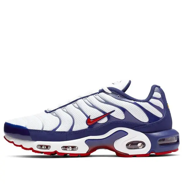 Nike Max Plus "usa - White/blue