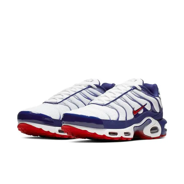 Nike Max Plus "usa - White/blue