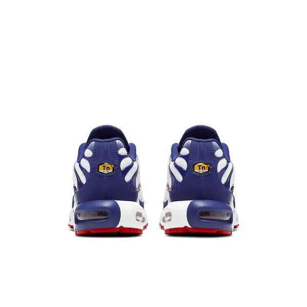 Nike Max Plus "usa - White/blue