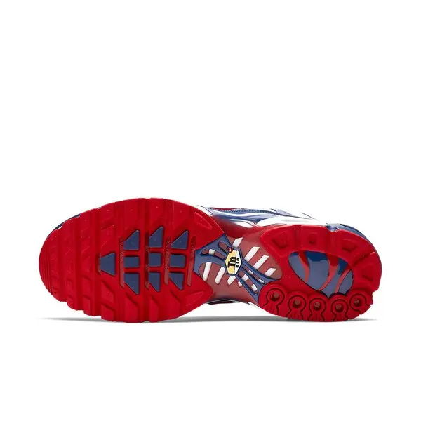 Nike Max Plus "usa - White/blue