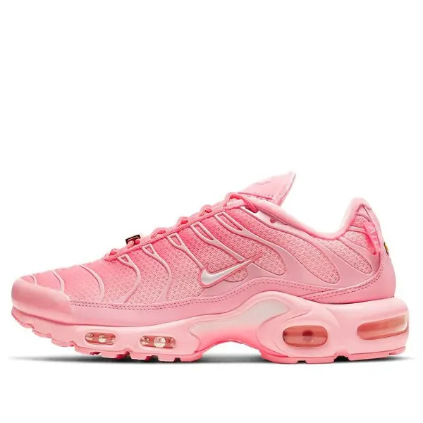 Nike Max Plus 'city Special Atlanta