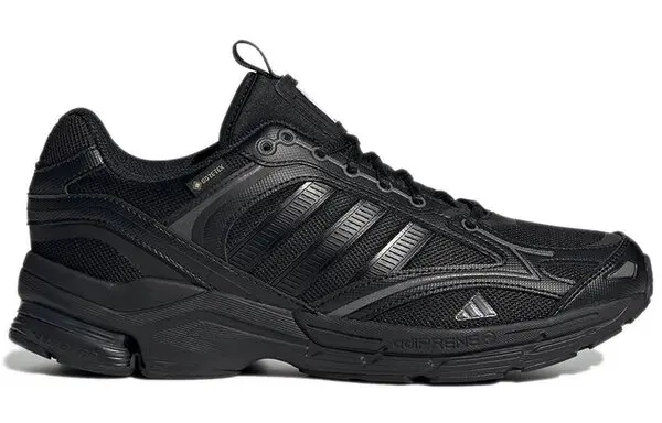 Adidas Spiritain 2000 Gtx Sneakers