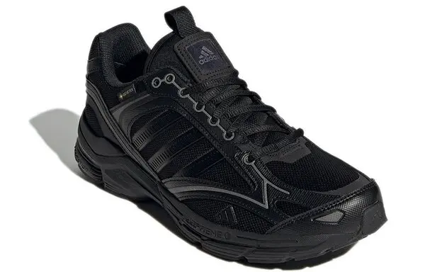 Adidas Spiritain 2000 Gtx Sneakers