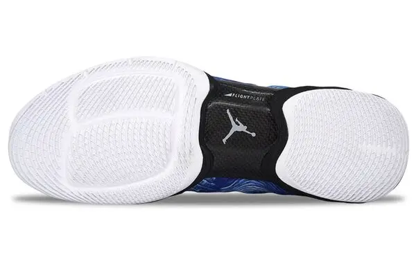 JORDAN 28 "color Pack Camo - Blue