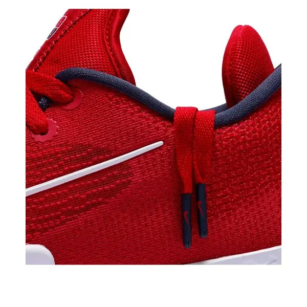 Nike Zoom Bb Nxt "usa" Basketball Sneakers - White/blue/red