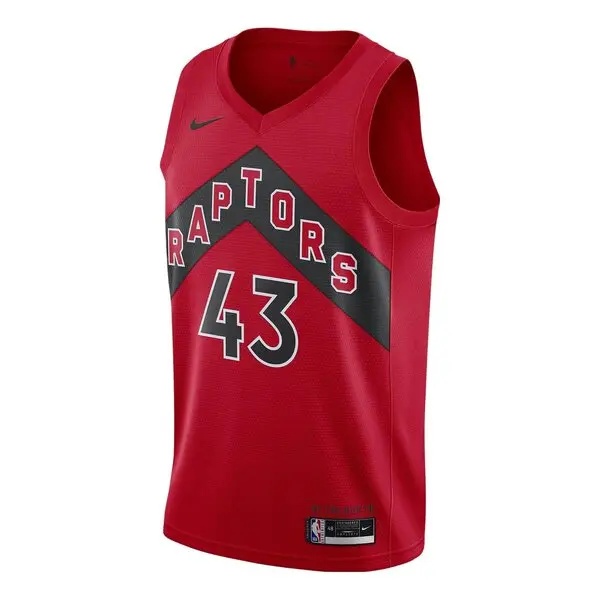 Nike Toronto Raptors 2020 Icon Edition Swingman Jersey 'pascal Siakam 43