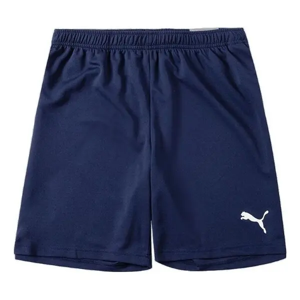 PUMA Team Rise Training Shorts