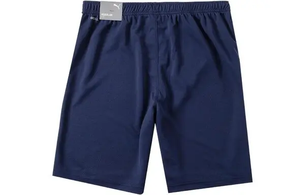 PUMA Team Rise Training Shorts