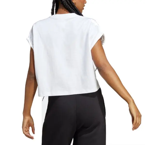Adidas Adicolor Classics Short Trefoil T-shirt