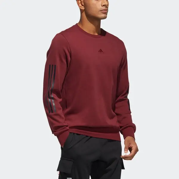 Adidas Crewneck Pullover With Graphic Detailing