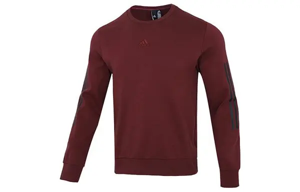Adidas Crewneck Pullover With Graphic Detailing