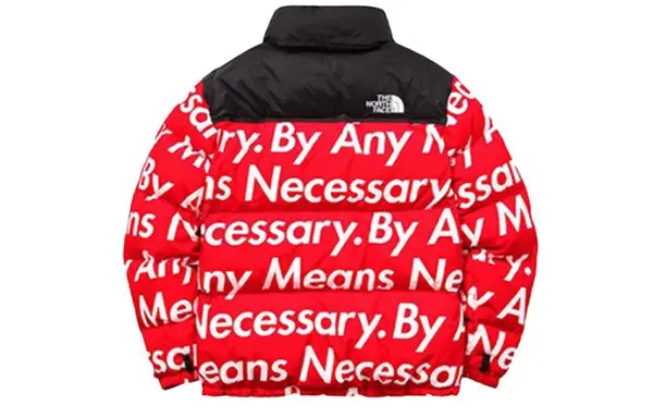 Supreme Fw15 X The North Face Nuptse Jacket