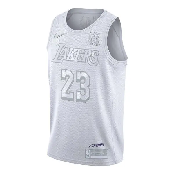 Nike Los Angeles Lakers Lebron James #23 Jersey - White/grey