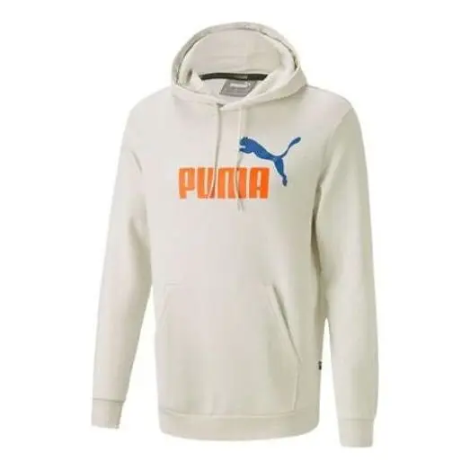 PUMA Sportswear Logo Hoodie